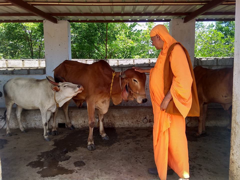 Aarsha Vidya Varshini - News and Events