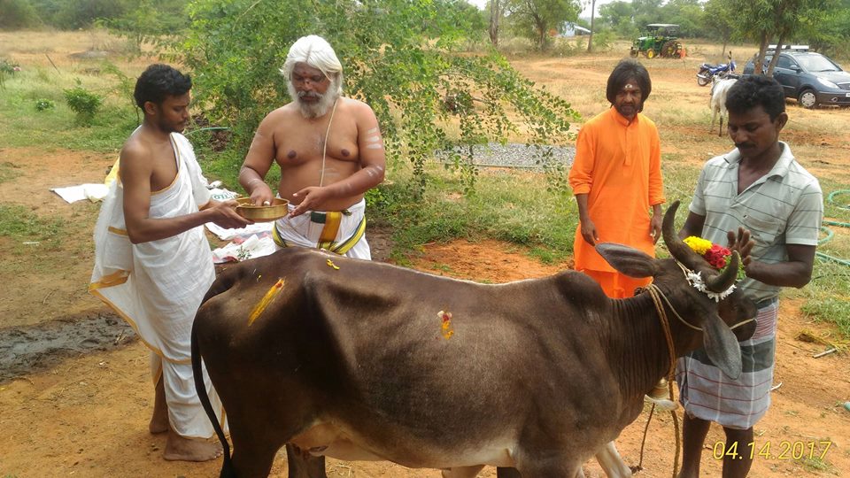 Aarsha Vidya Varshini - News and Events