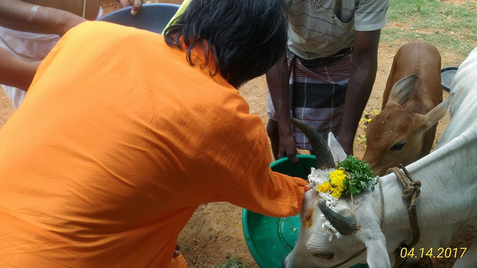 Aarsha Vidya Varshini - News and Events