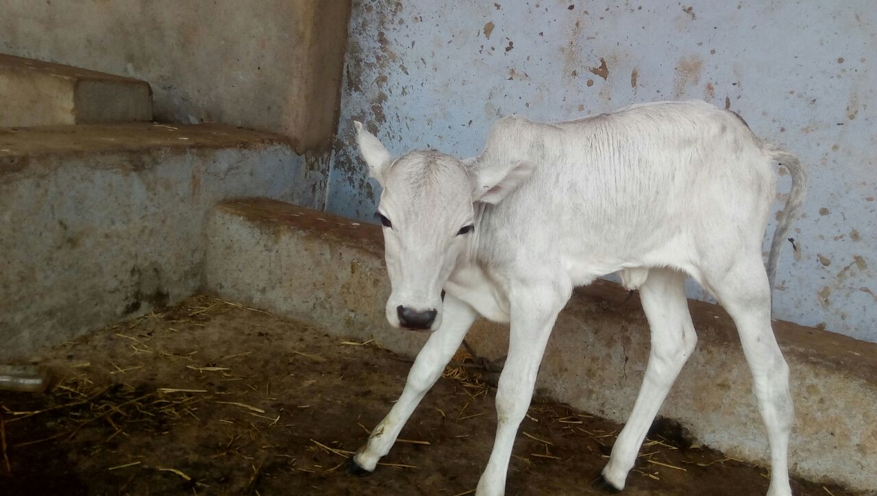 Aarsha Vidya Varshini - News and Events